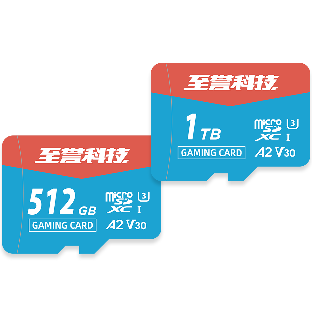 至誉科技 Gaming microSD/TF: 掌机游戏专用存储卡 | Exascend