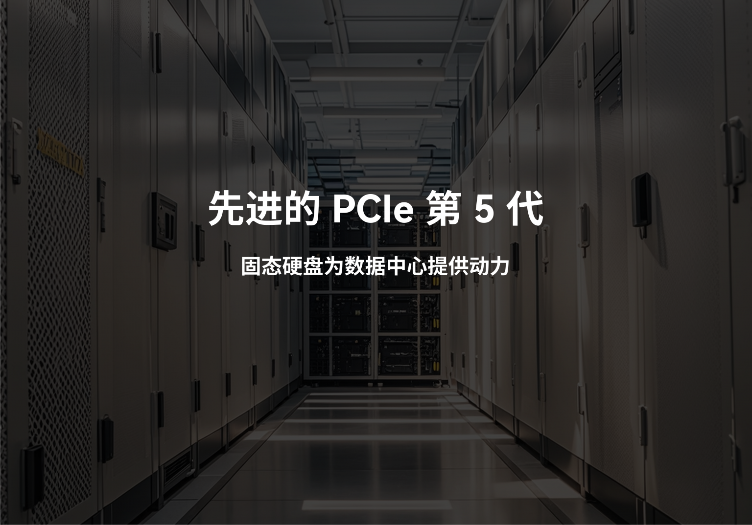 pcie-gen5-pd5 - 至誉科技